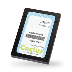 Industrial SSD, Solid State Drives - Industrial Grade - Cactus Tech