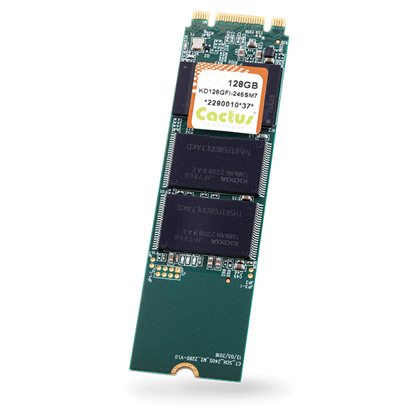 270P Series (2280) - Cactus Technologies NVMe interface module