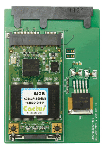 mSATA SLC SSD, Industrial Grade mSATA - MO-300 - Cactus